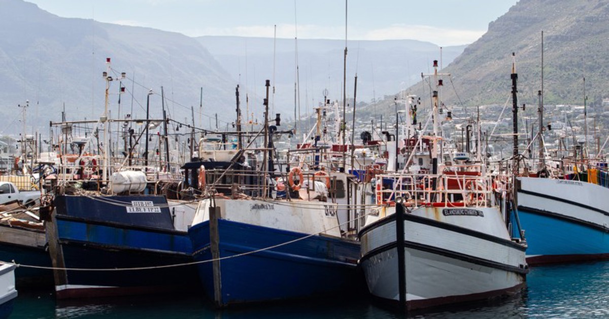 Why Donald Trump's 30% tariff on SA exports could sink the local boat ...