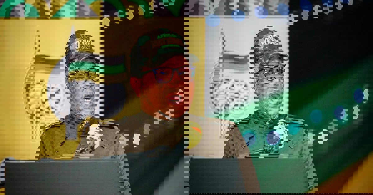 'Even if the DA walks away, GNU will not collapse' - ANC's Mbalula