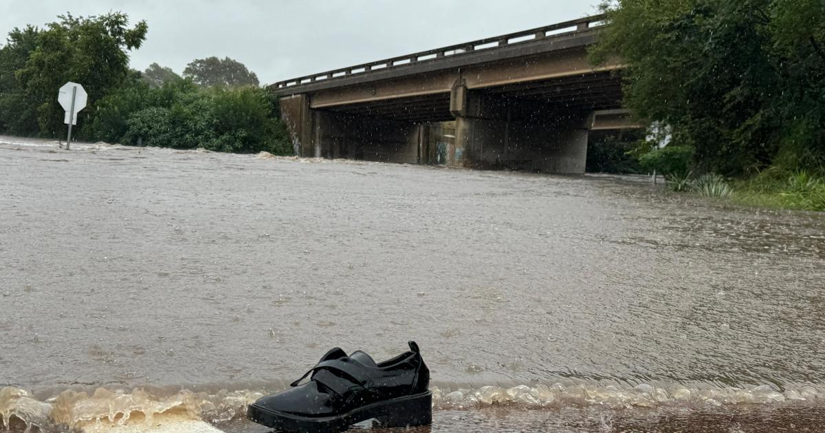 Tshwane EMS rescues bus driver after vehicle submerged in water due to ...