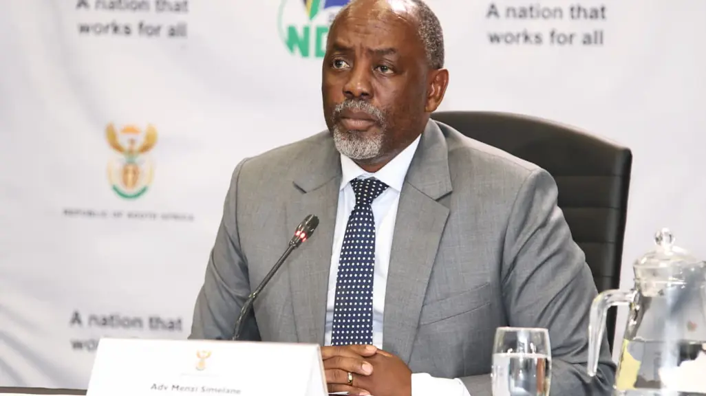 Simelane grilled over BOSASA, Scorpions disbandment in bid to return as ...