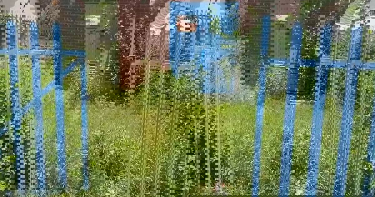 City Power admits to aging infrastructure in two Rabie Ridge substations