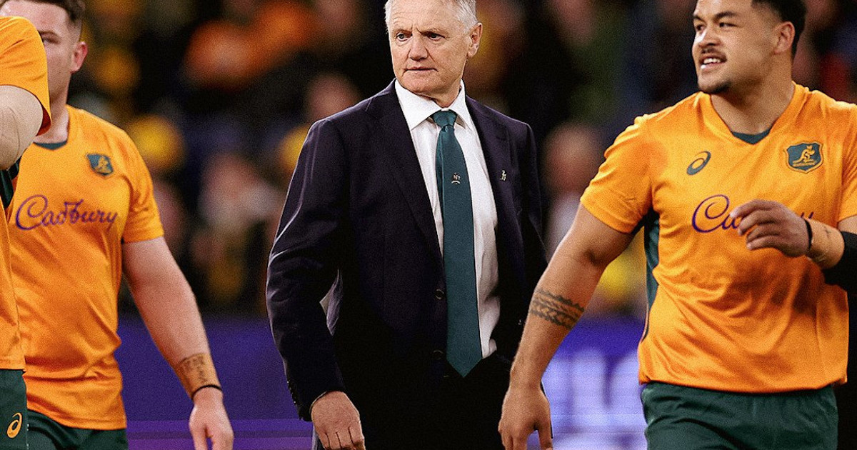 Rugby Australia back 'world's best coach' Schmidt after tour flop