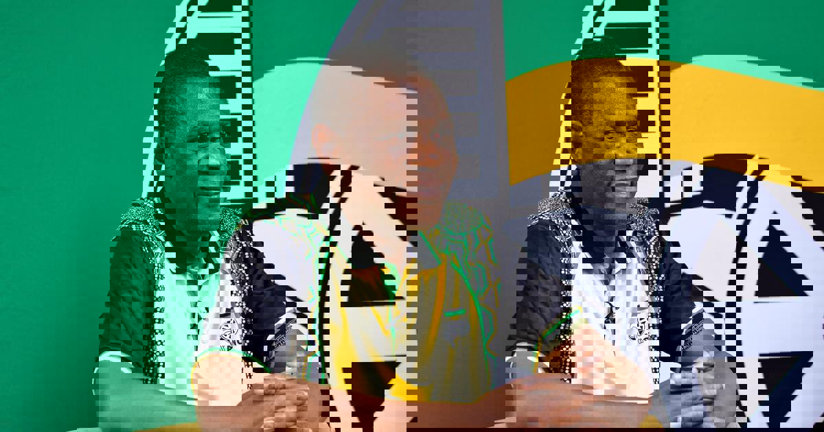 Mashatile promises GNU will speedily address challenges faced by WC communities