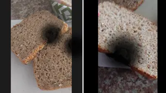 Sasko suspends production at facility where mouse was baked into woman ...