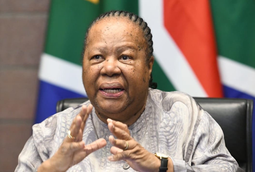 Naledi Pandor, Bheki Cele, Thandi Modise and Thulas Nxesi among ...