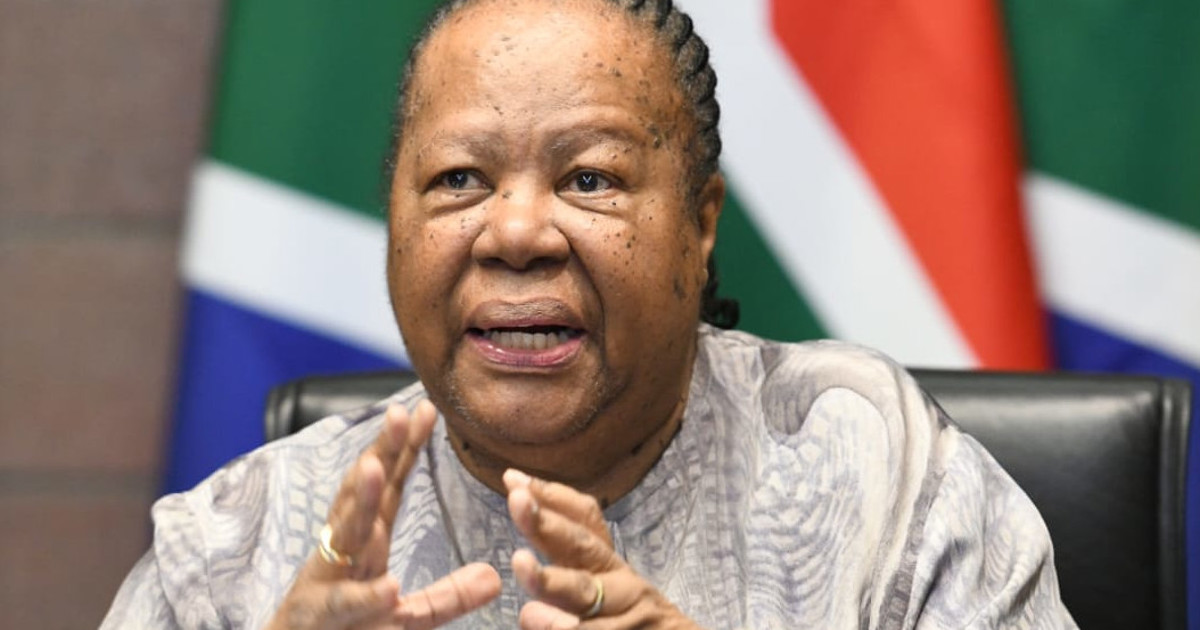 Pandor shocked by Germany's legal action against SA commentator over ...