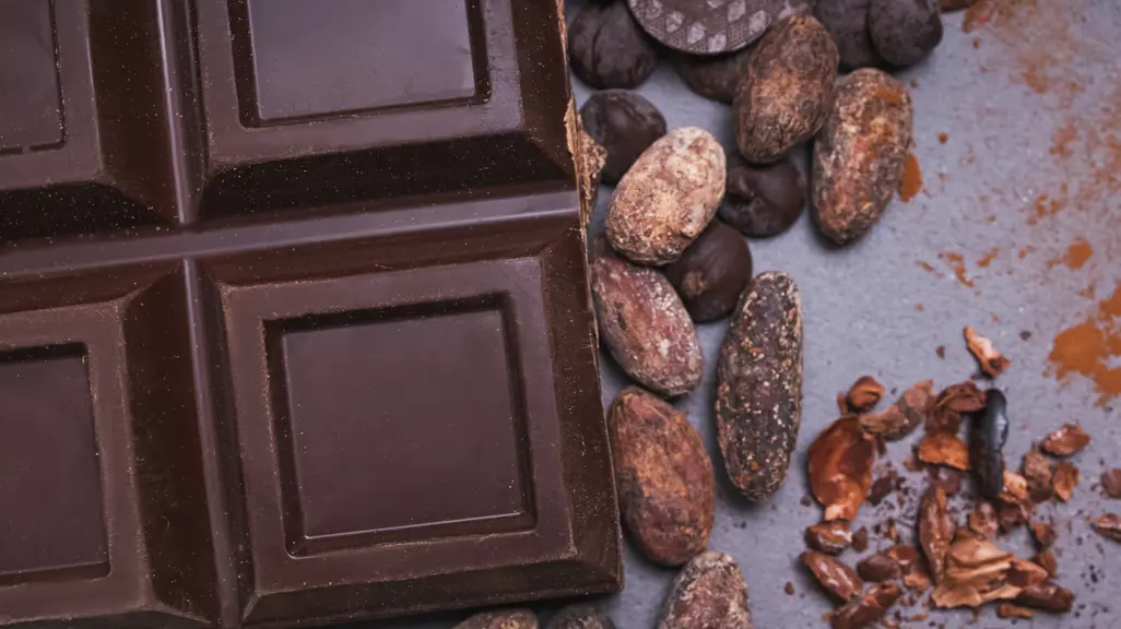 Scientists warn of climate threat to chocolate