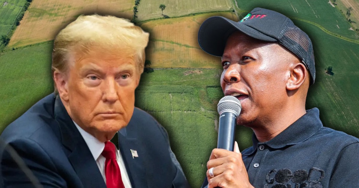 'It’s offensive and undermines our sovereignty' - Malema on Trump's Expropriation Act comments
