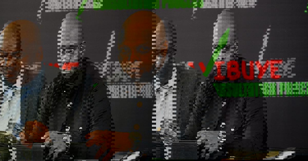 [WATCH] Shivambu on MK Party: 'There can’t be a liberation project led by a family'