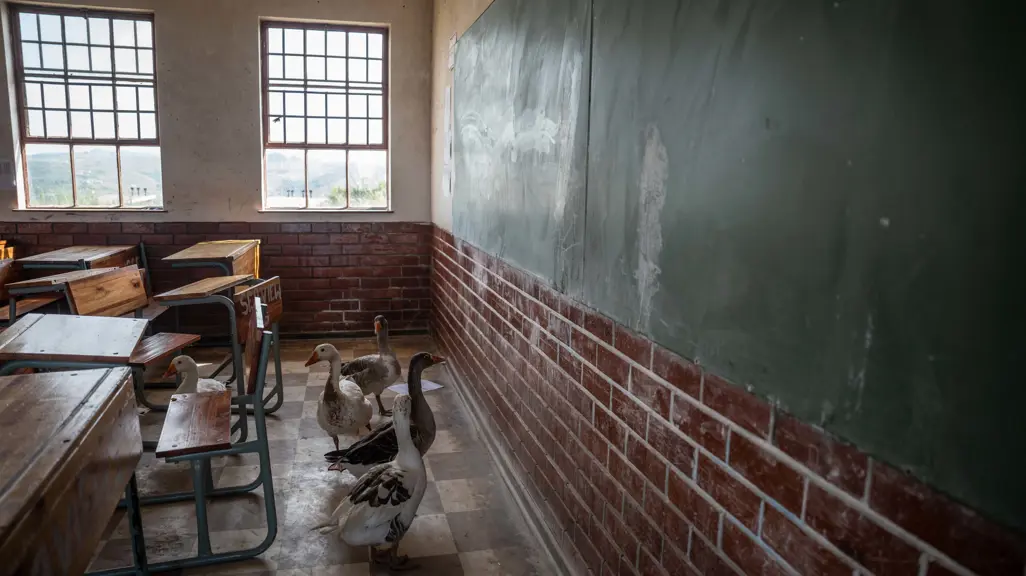 Study: 70% of children from Grade 1 to 3 can't recognise letters or ...