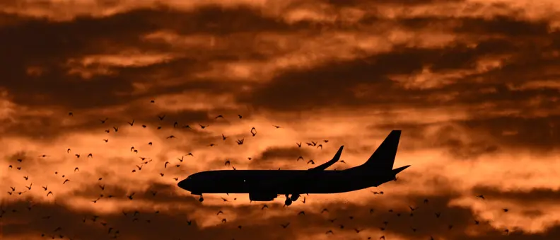 January 8 statement: What to expect as the ANC marks its 113th anniversary