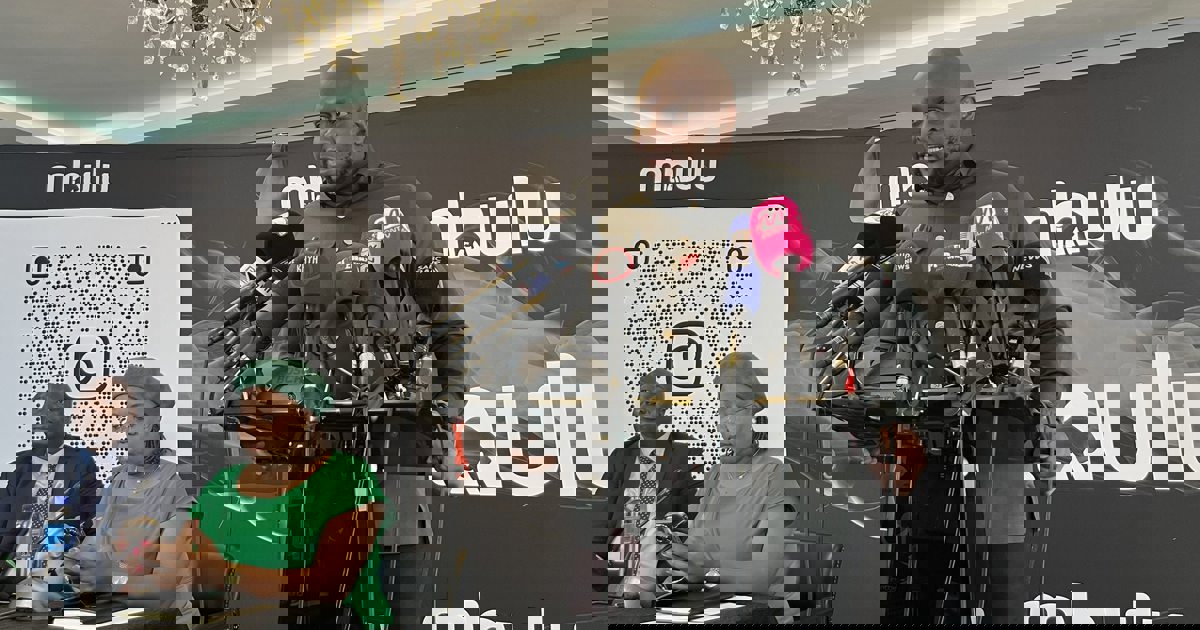 Shivambu claims fake intelligence report on him wanting to overthrow ...