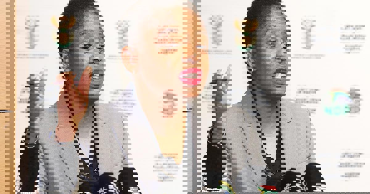 Ntshavheni says EFF free to challenge national budget in court