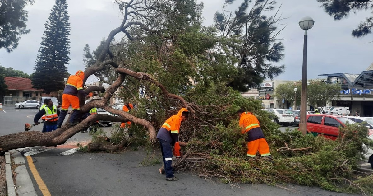 Cape of Storms: Counting the cost after winter rains, floods hit WC