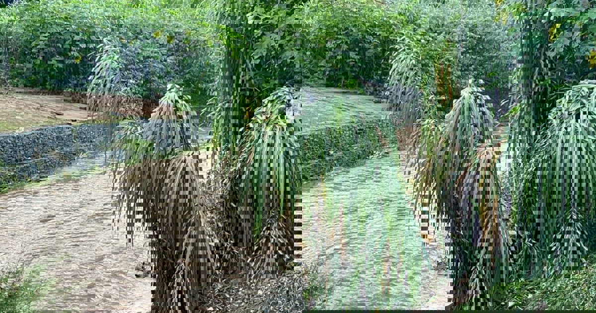 Public urged to avoid unnecessary movements as heavy rains persist in ...