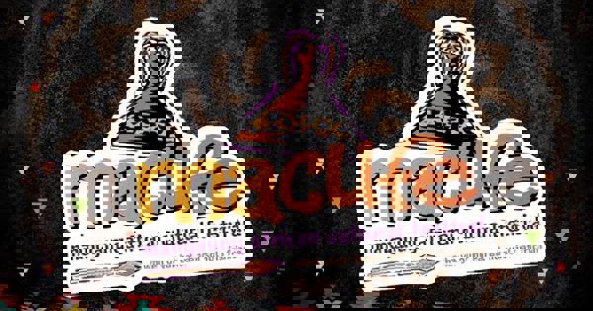 Macufe Festival set for comeback in 2025