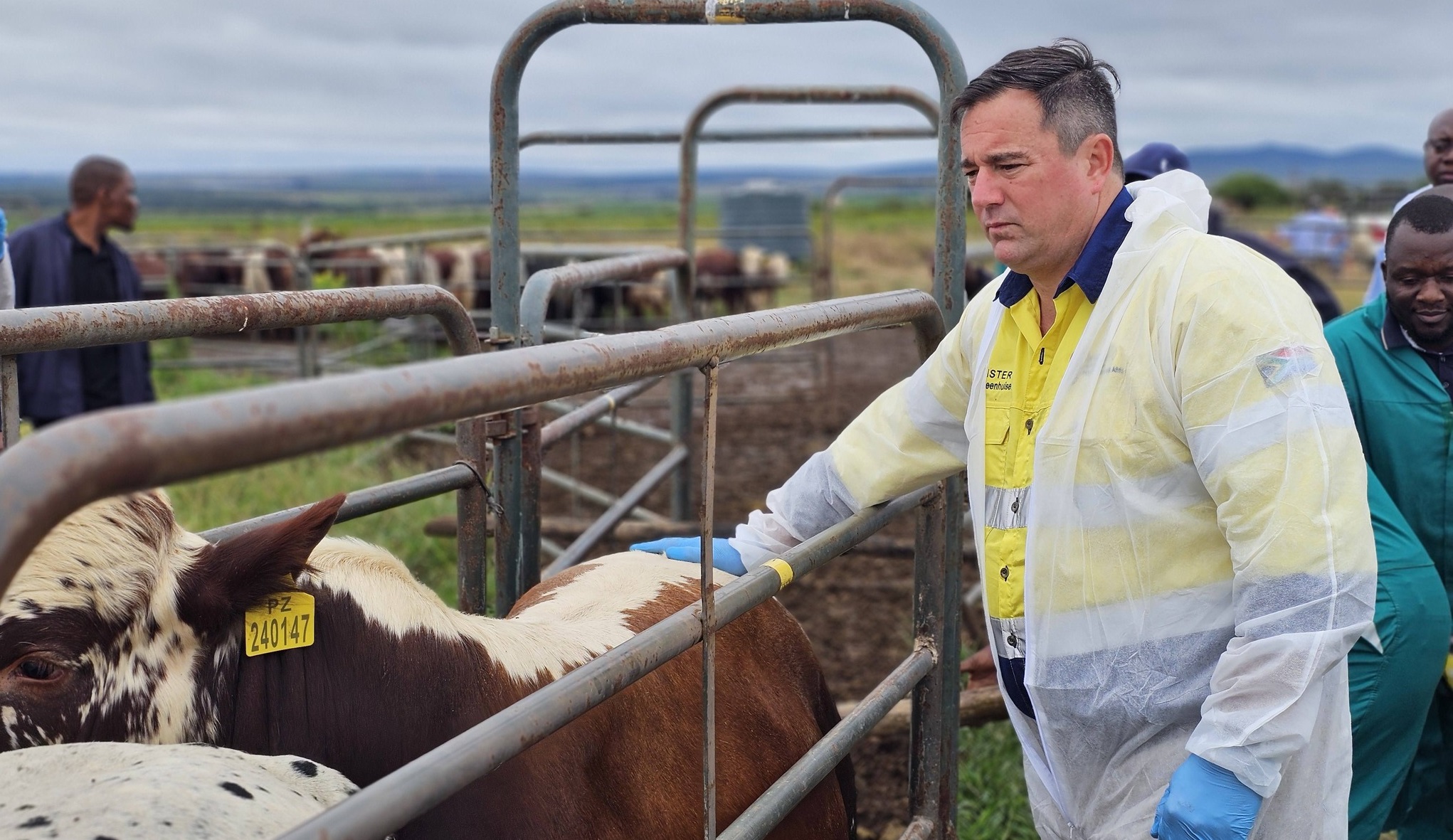 Agri group hails court ruling on private FMD vaccination, but accuses ...