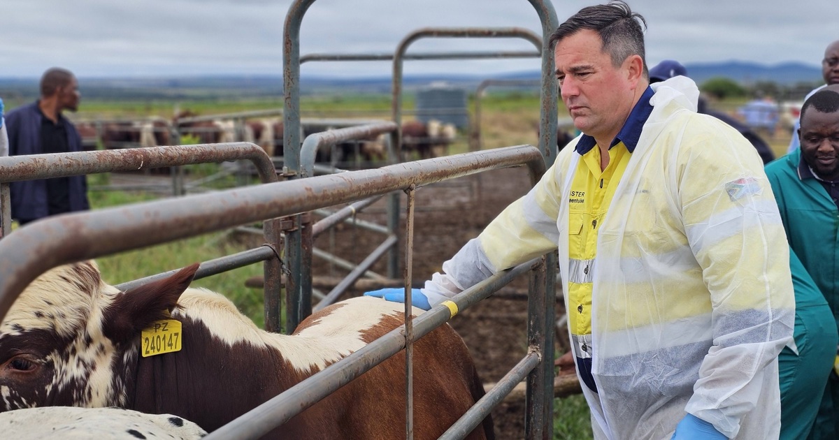 Court ruling on private FMD vaccination 'puzzling', says Agriculture ...
