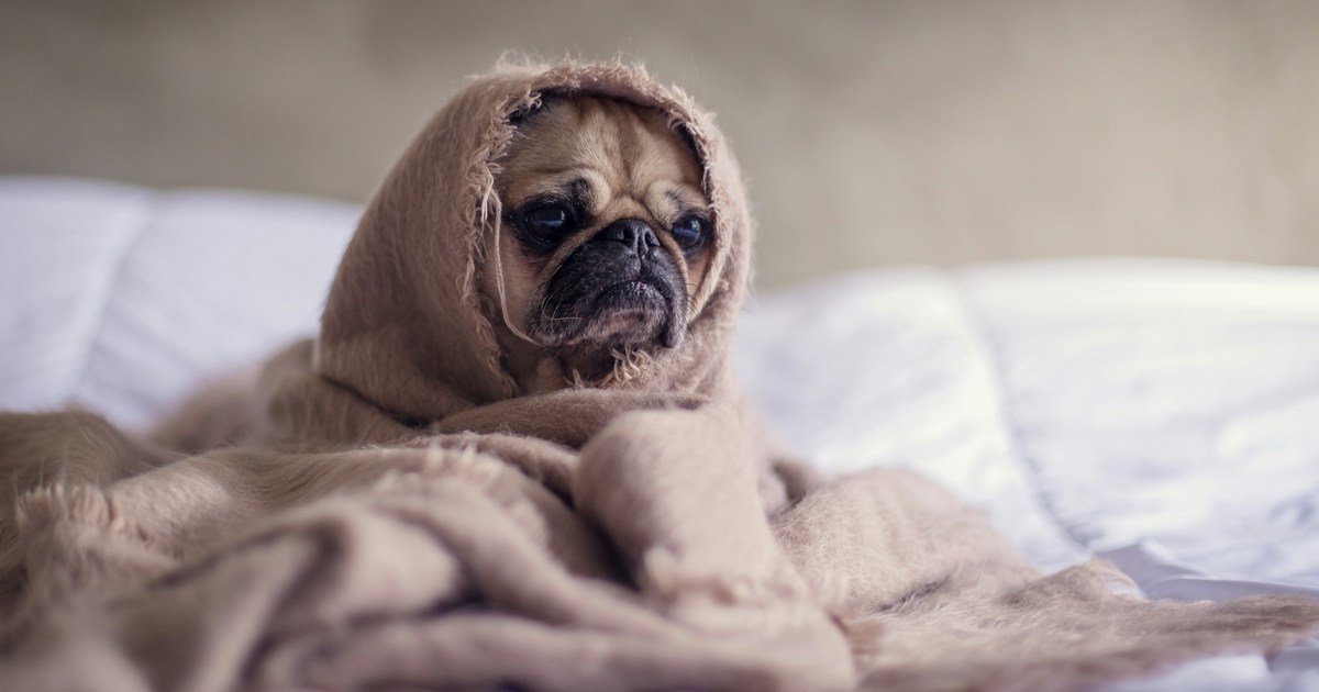 SA Weather Service warns cold snap to hit Gauteng on Friday