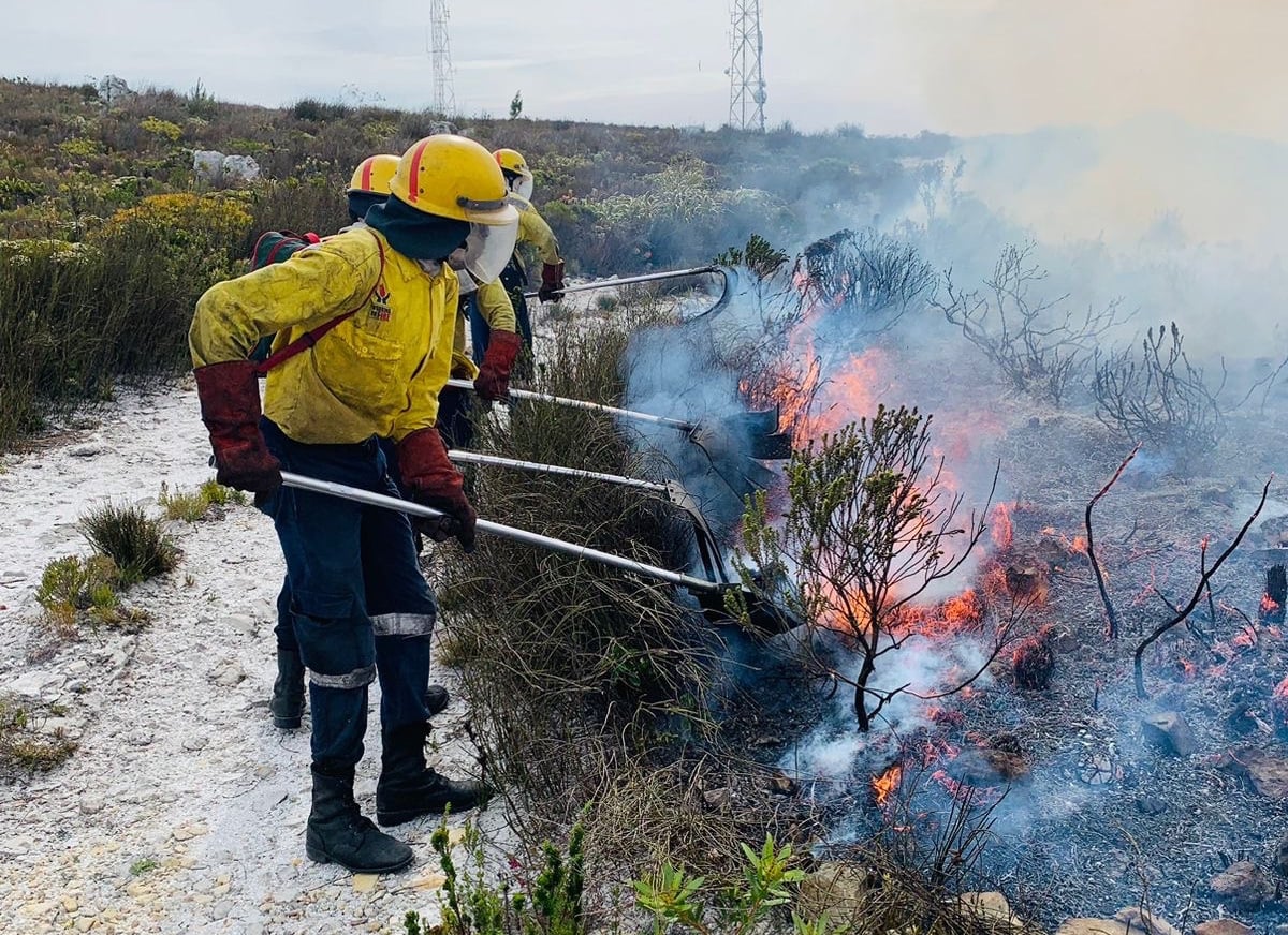 CoJ plans to develop new operating facilities for inner city informal ...