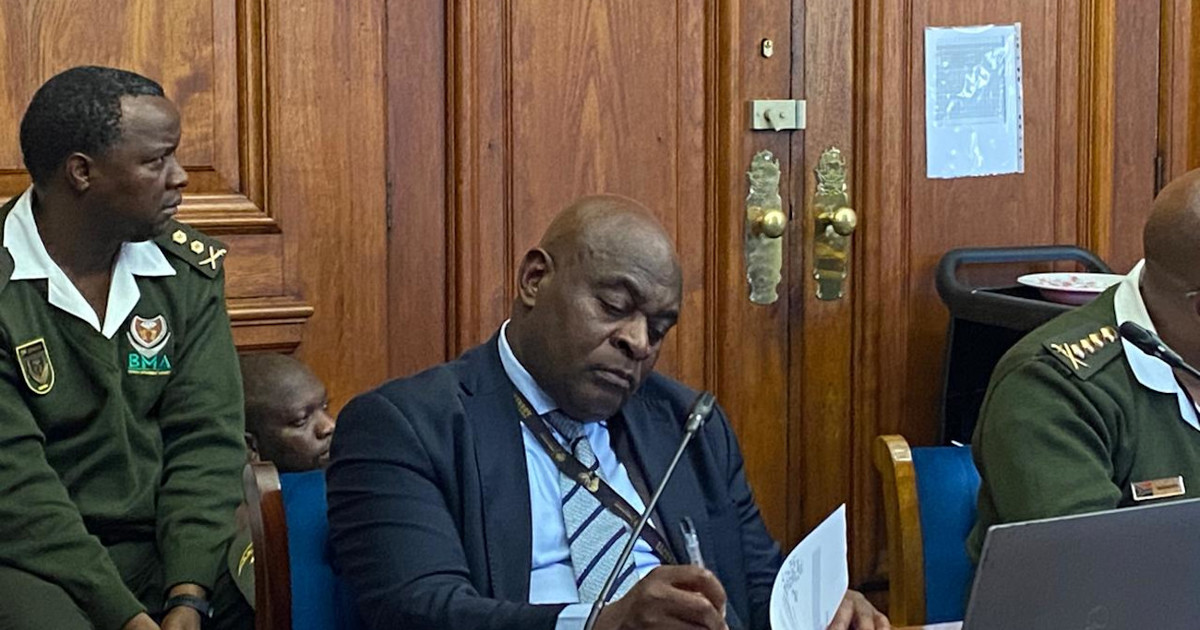 95 Libyans who came to train at Mpumalanga military camp got visas in 3 ...