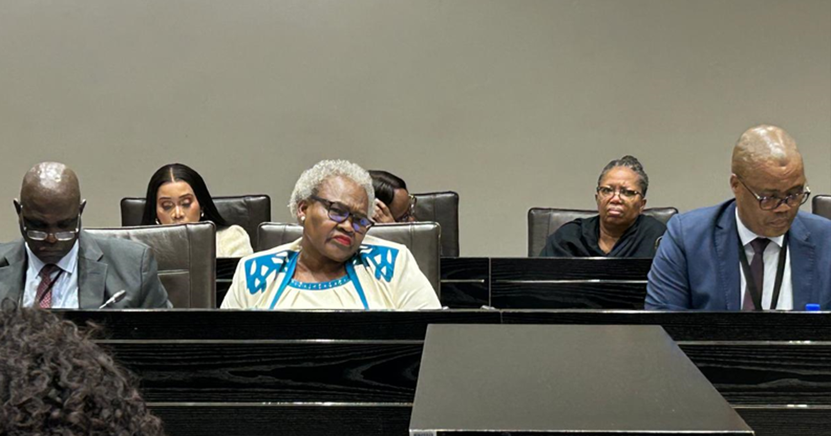 Minister Tolashe denies wrongdoing, blames former chief of staff for ...