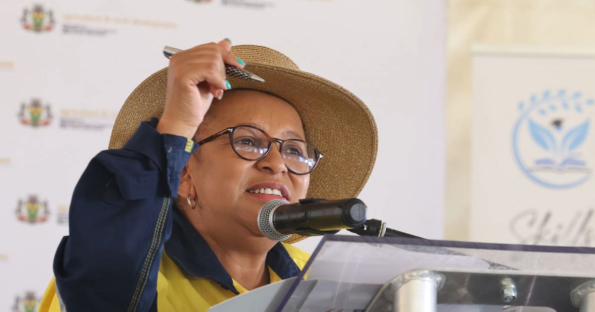 FS premier on special leave in wake of corruption allegations, Mbalula ...