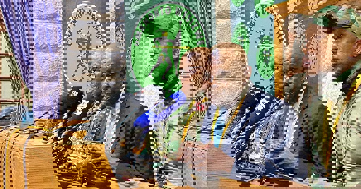 MK Party wants Parly to act against Godongwana amid calls for his resignation