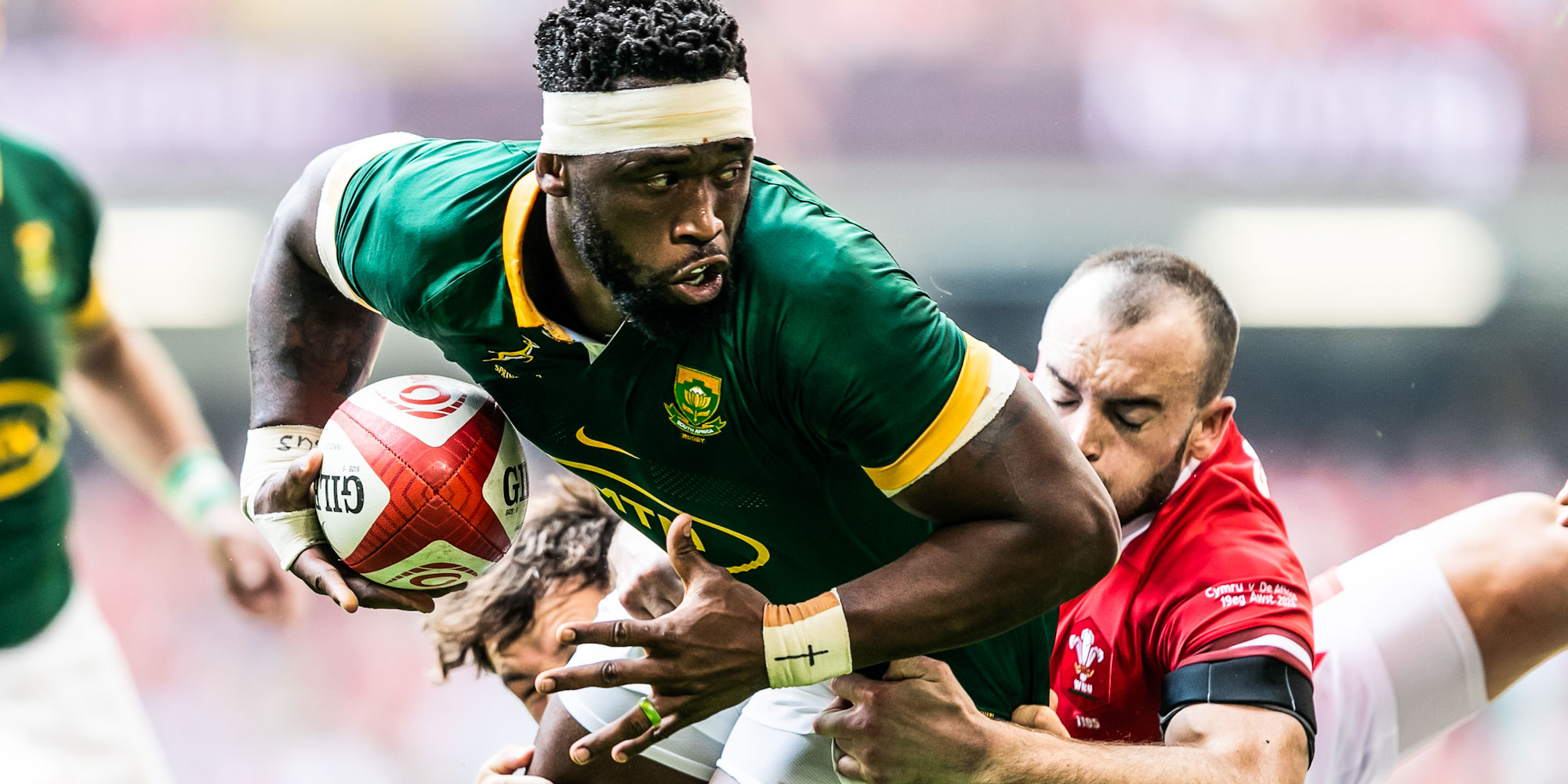 Springboks vs Wallabies: 'I can't see Australia winning at Ellis Park ...