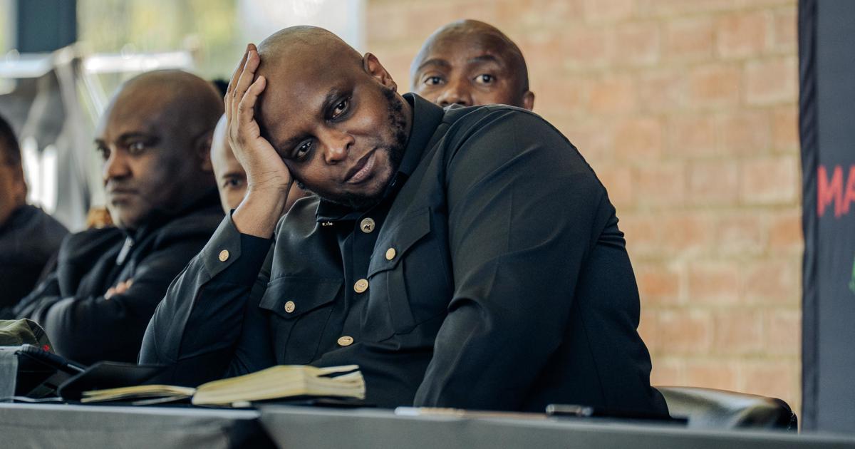 MK Party's Ndhlela sues Shivambu for defamation of character, demanding R3m