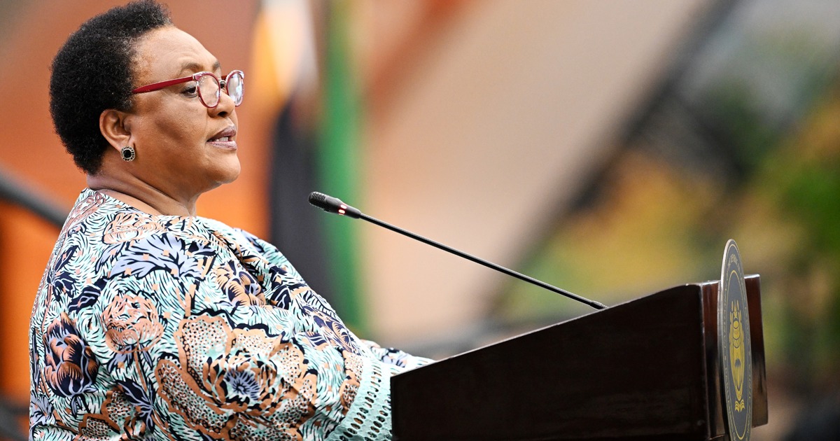 Section 89 impeachment process: Didiza sends MPs back to drawing board