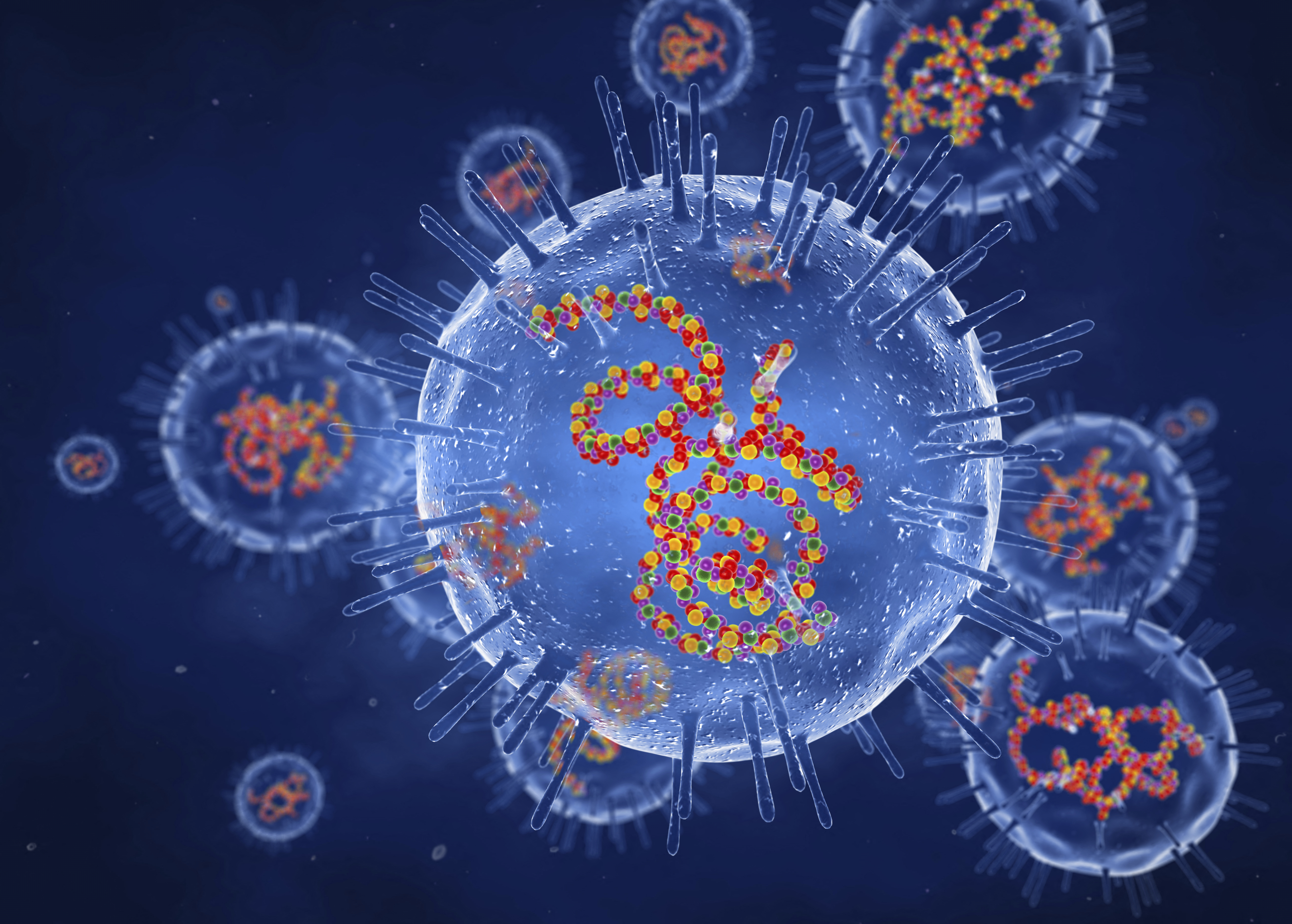 Gauteng, Western Cape identified as provinces with most rubella cases