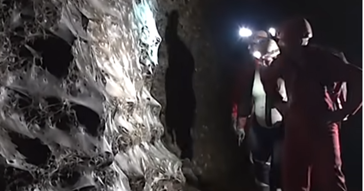 WATCH: World’s largest spider web with 110,000+ spiders discovered