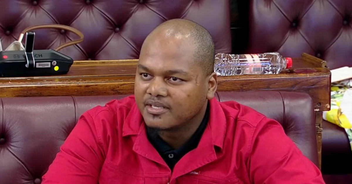 EFF MP Sihle Lonzi warned he could be held liable for identifying NYDA ...