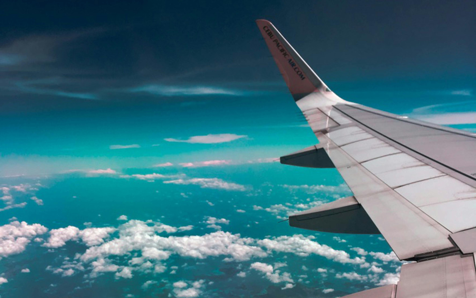 Airline Cemair says it lost about R15 million due to its booking system ...