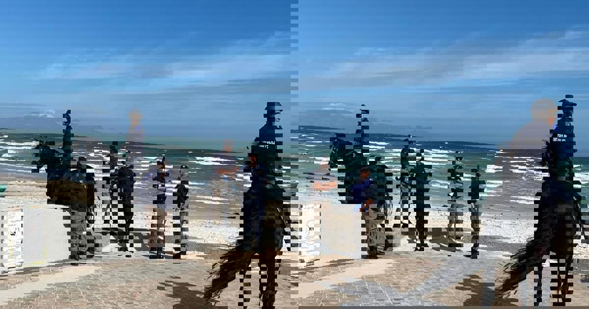 Cape Town to enforce zero-tolerance alcohol rule in public spaces this ...