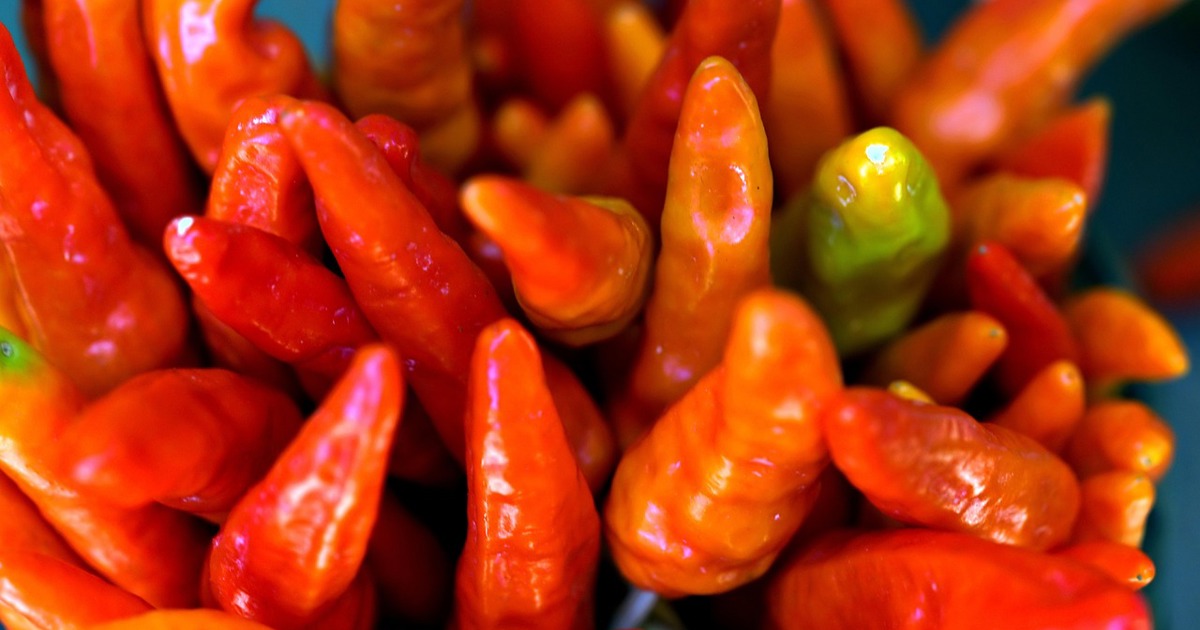 Africa’s first League of Fire competition brings the heat to Cape Town!