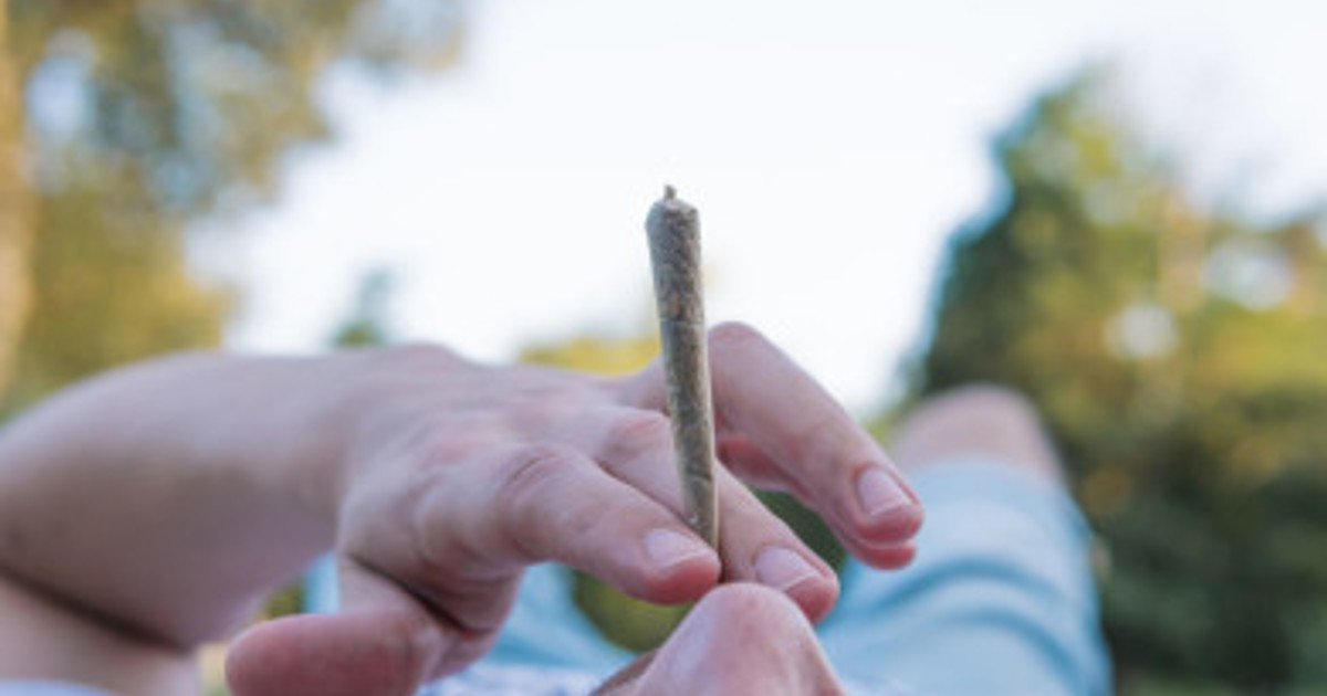 Stellenbosch University bans cannabis use in student residences