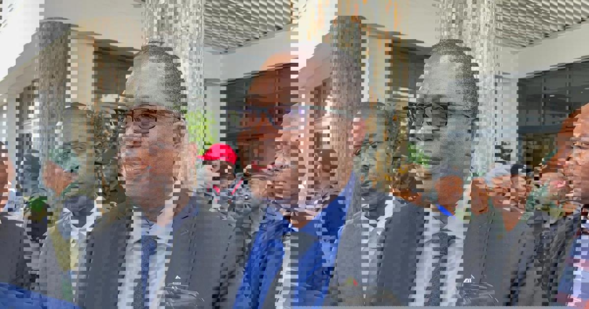 Gauteng government praises bravery of injured crime prevention wardens