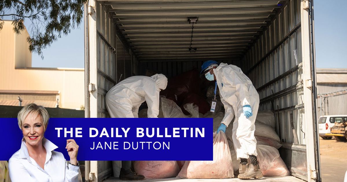 The day that was: SA’s drug explosion, Benny cubes recall, EFF schools ...