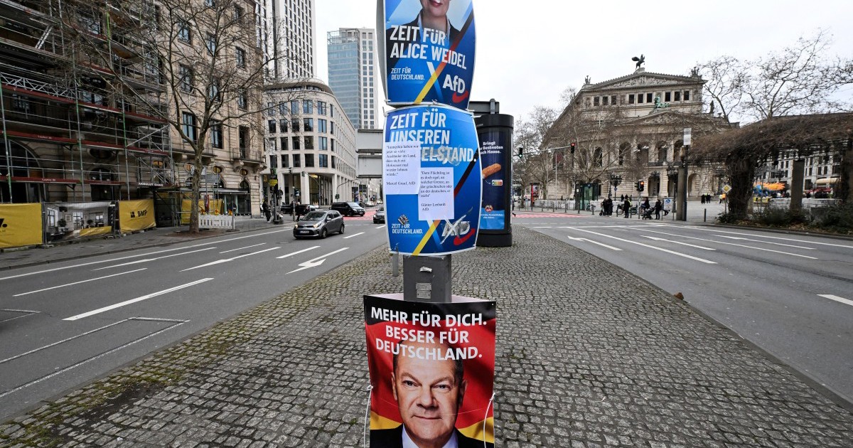 Germany's far-right AfD basks in spotlight of Musk support