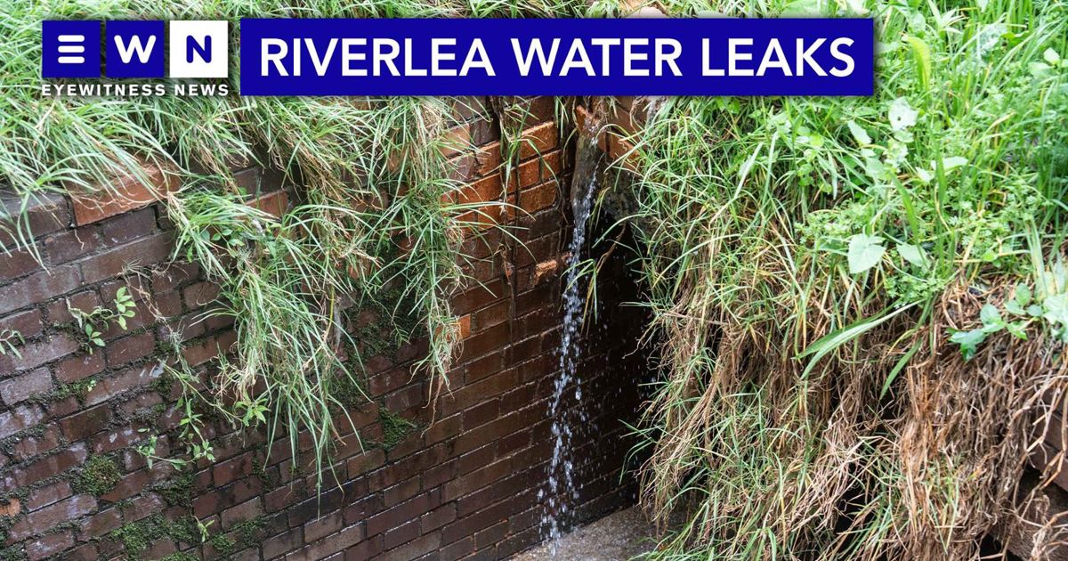 'This is negligence, this is billions of litres of water' - Riverlea ...