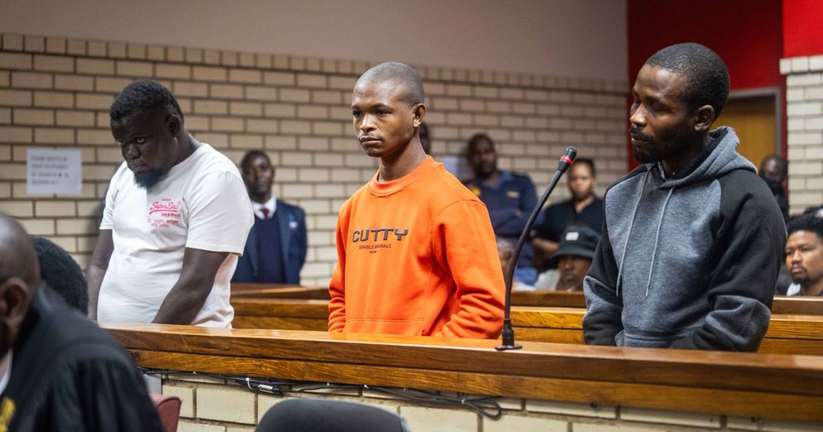 Men accused of killing Ditebogo Phalane shouldn’t be allowed back into ...
