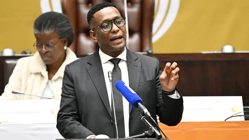 Parliament wants Nkabane to disclose all names of advisory panel for ...