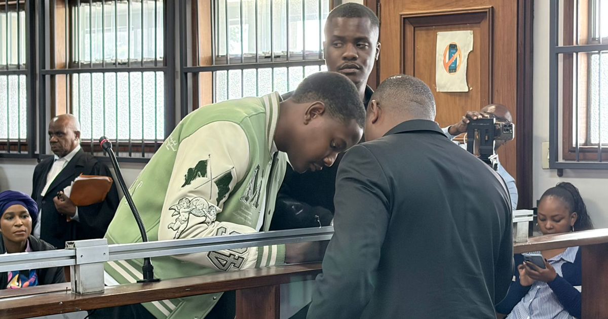 Bellarmine Mugabe and co-accused plead guilty to several charges