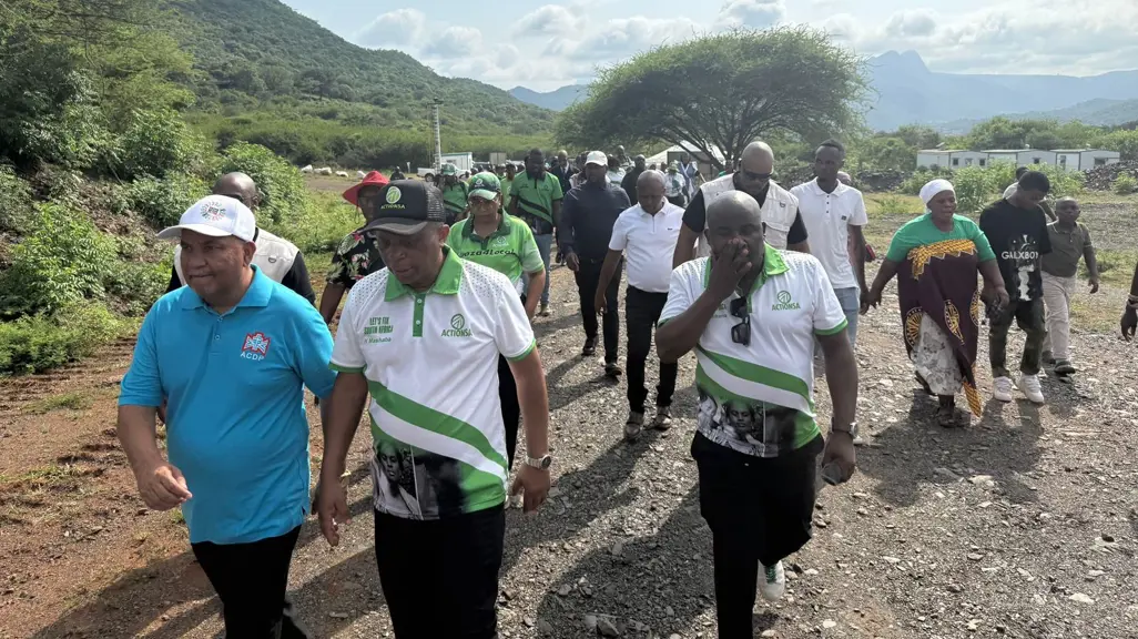 ActionSA leader calls for overhaul of Chapter Nine institutions ...