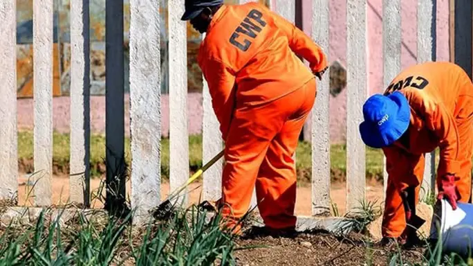 COGTA extends 67,000 CWP beneficiaries' contracts for another four months