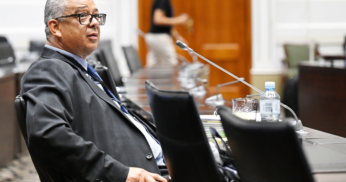 Parly committee probing police graft accuse McBride of undermining inquiry