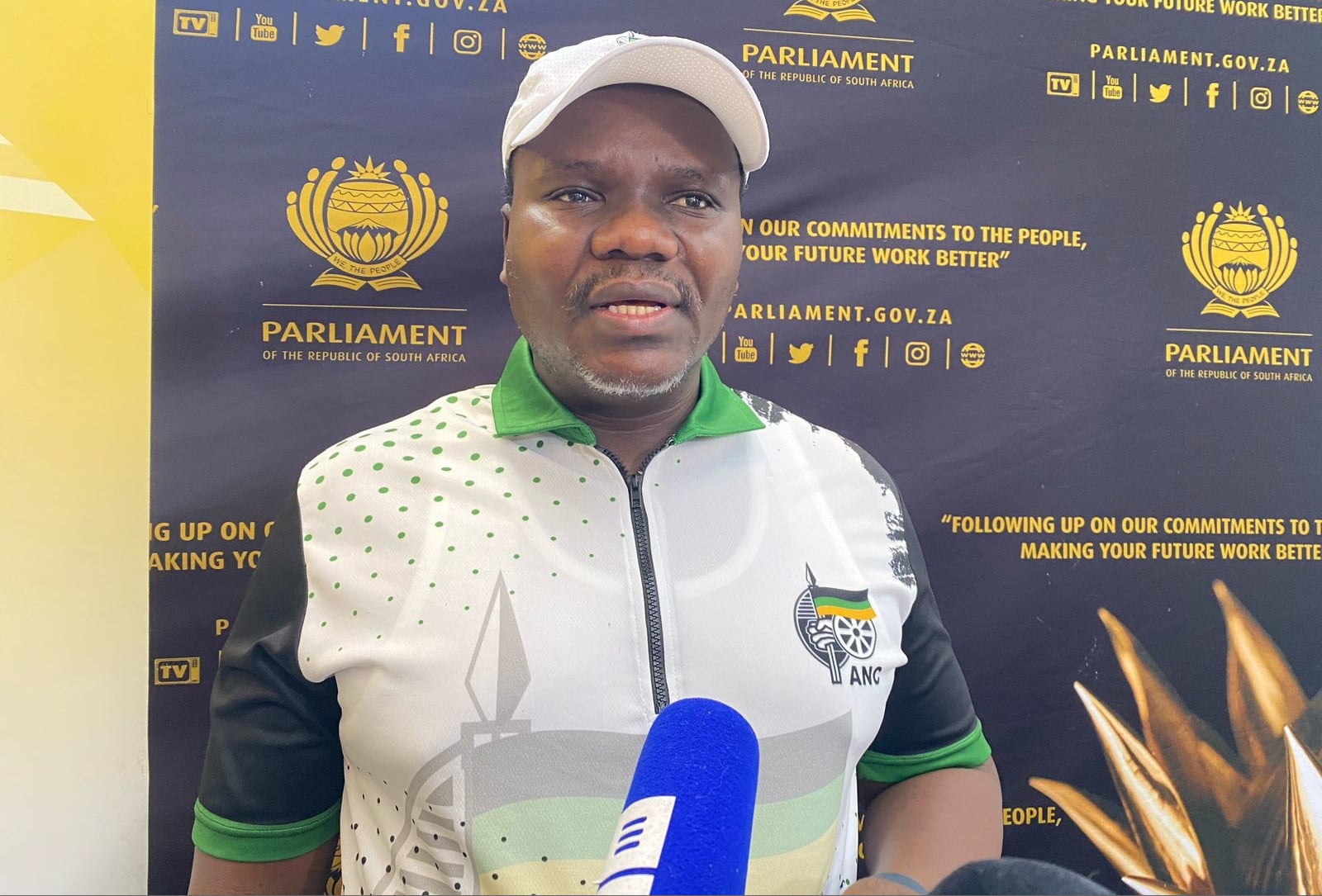 Expropriation Act 'suffices' for govt's immediate aims - ANC's Ntuli