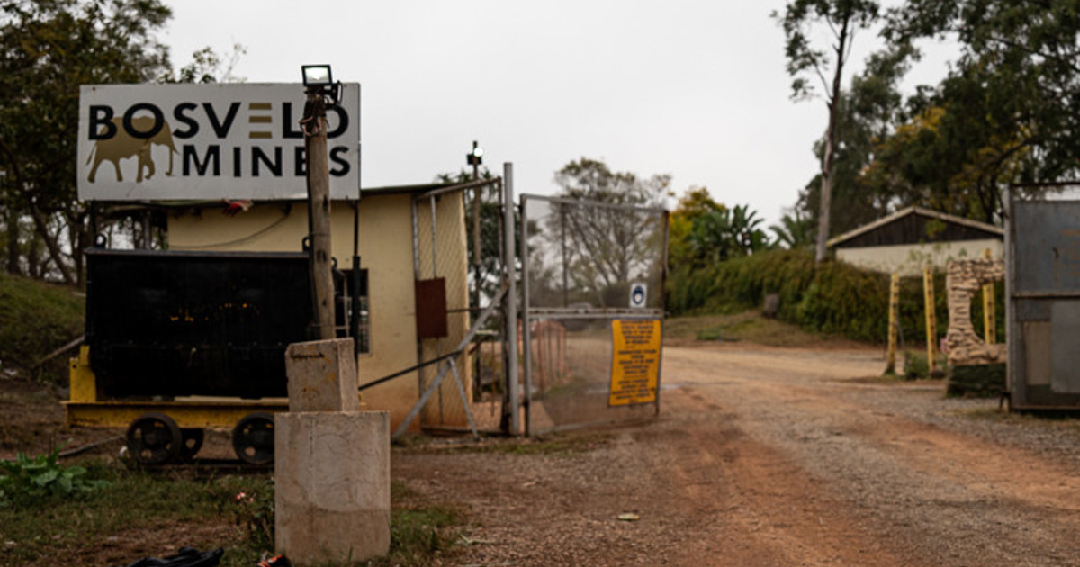 Bosveld Gold Mine transforming lives of former zama zamas by working ...